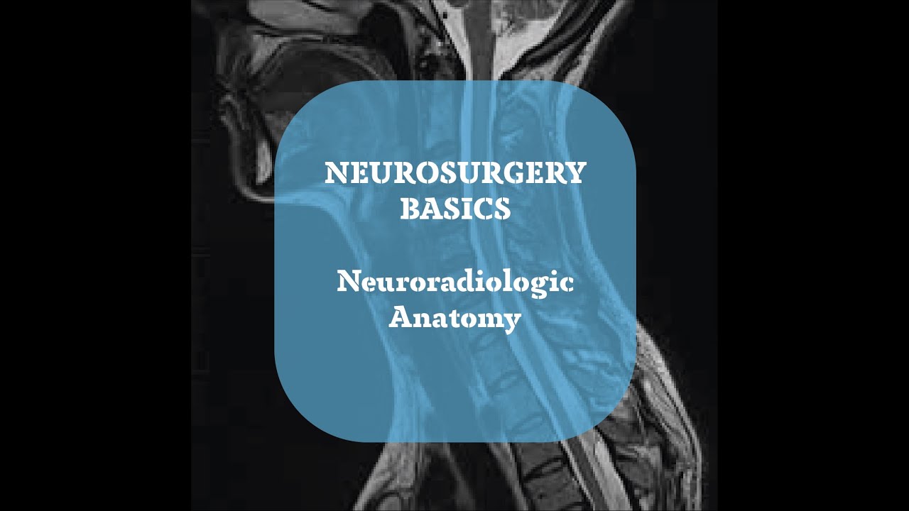 Neurosurgery Basics Lecture : Neuroradiologic Anatomy Part 2 - YouTube