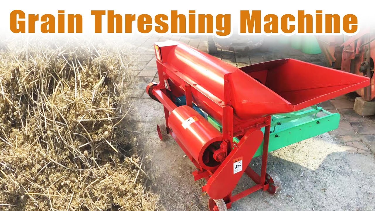 How to Use a Grain Thresher for Maximum Yield #grain #farming # ...