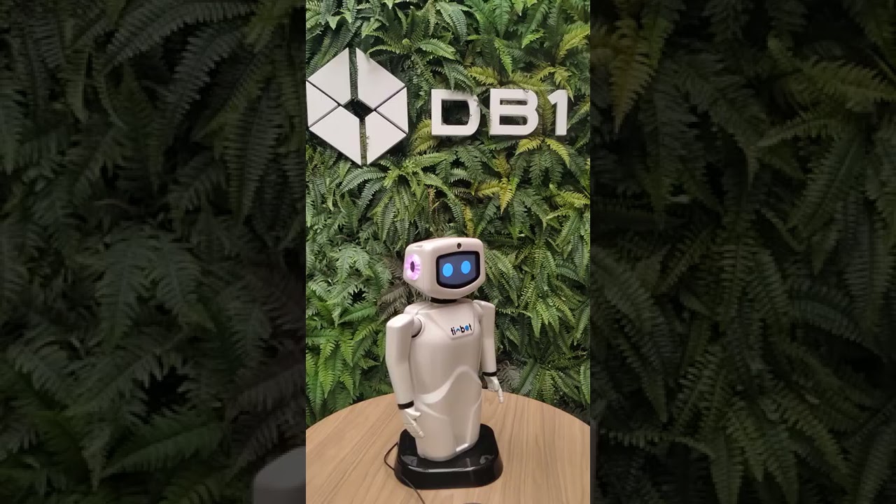 Tinbot ensinando receitas! - YouTube