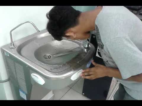 Que burrice desse moleque.