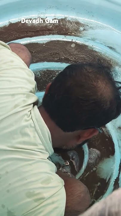 WaterTank cleaning service @CleaningSquadsurat - YouTube