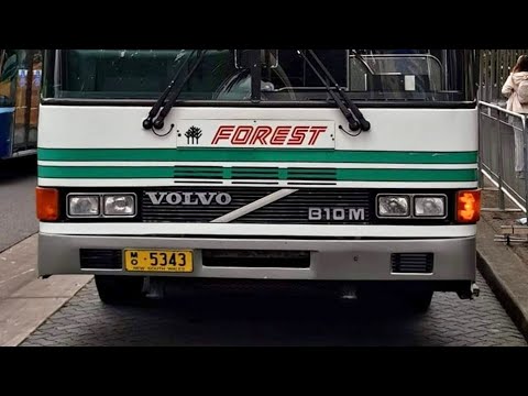 Forest Coach Lines M/O 5343 - Volvo B10M MK III Custom Coaches 210 ...