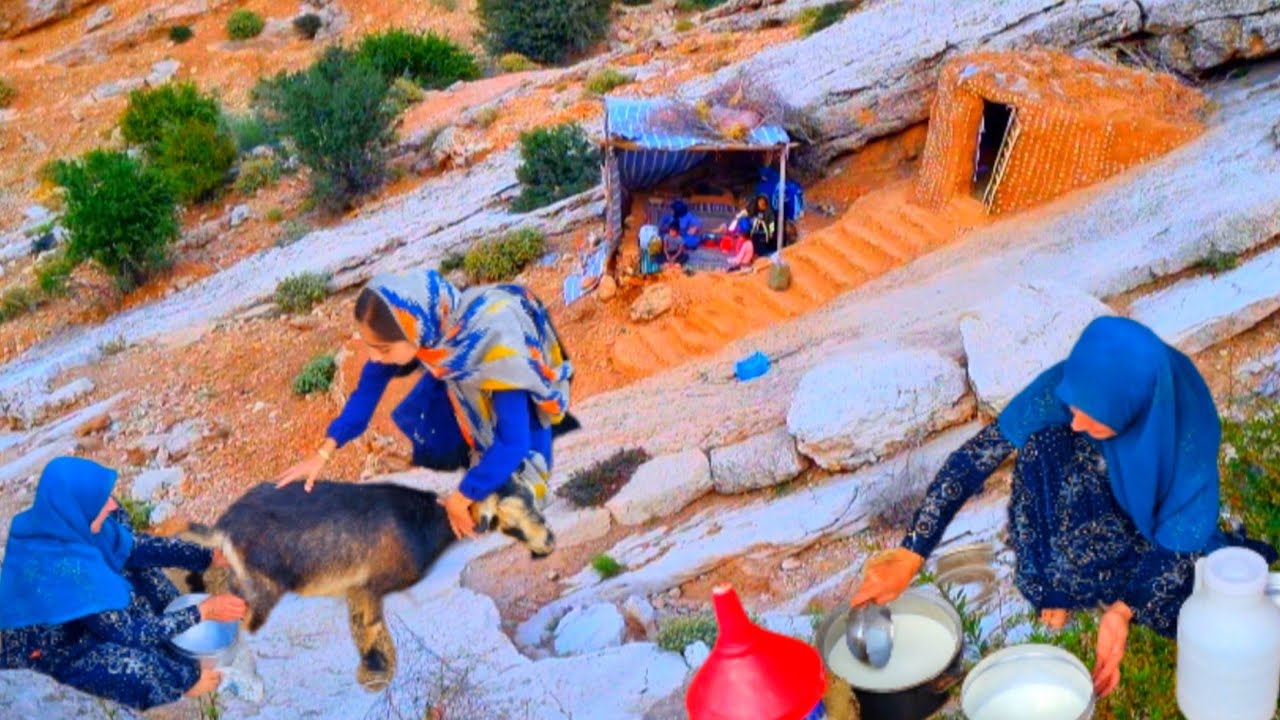 The nomadic life of milking goats and making buttermilk yogurt#film# ...