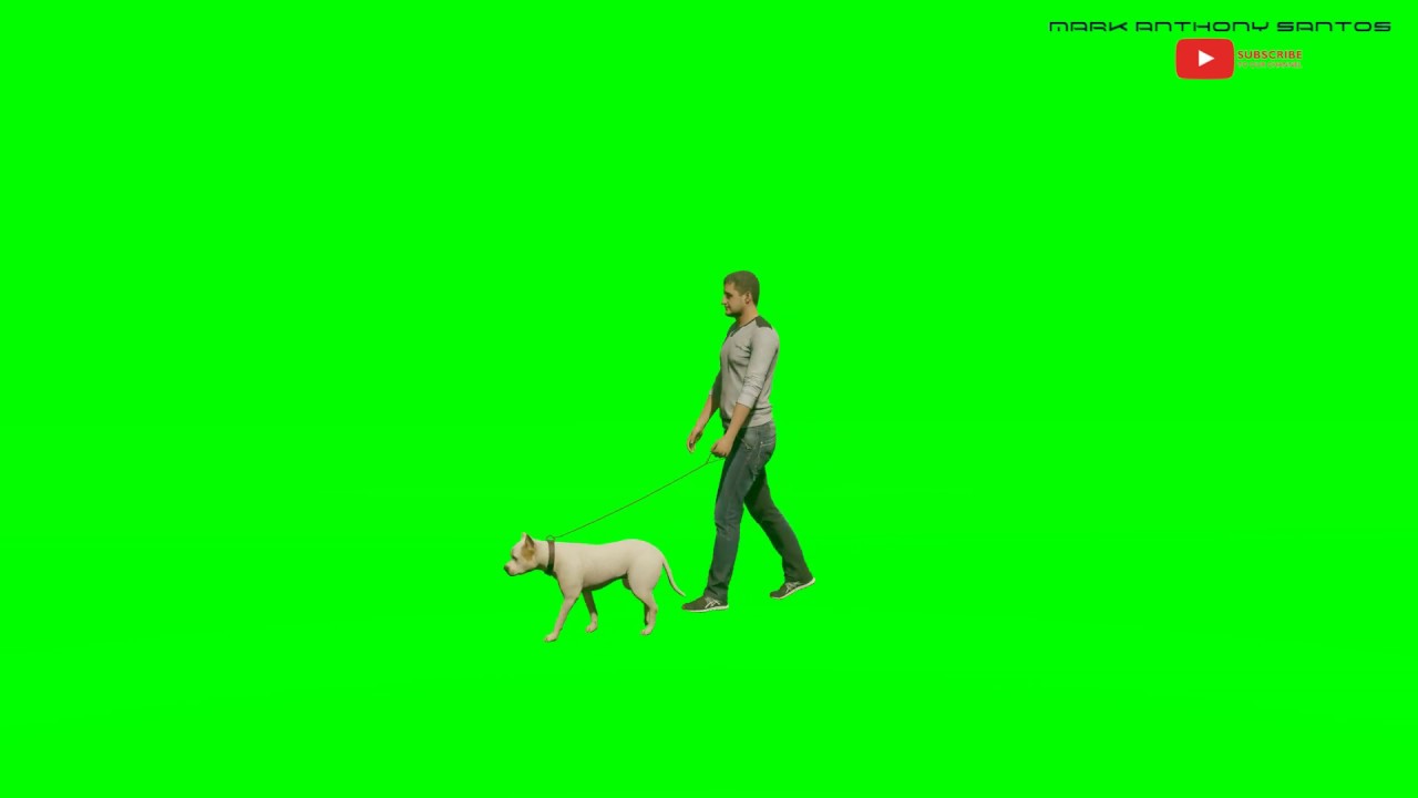 MAN & DOG WALKING SIDEVIEW GREENSCREEN - YouTube