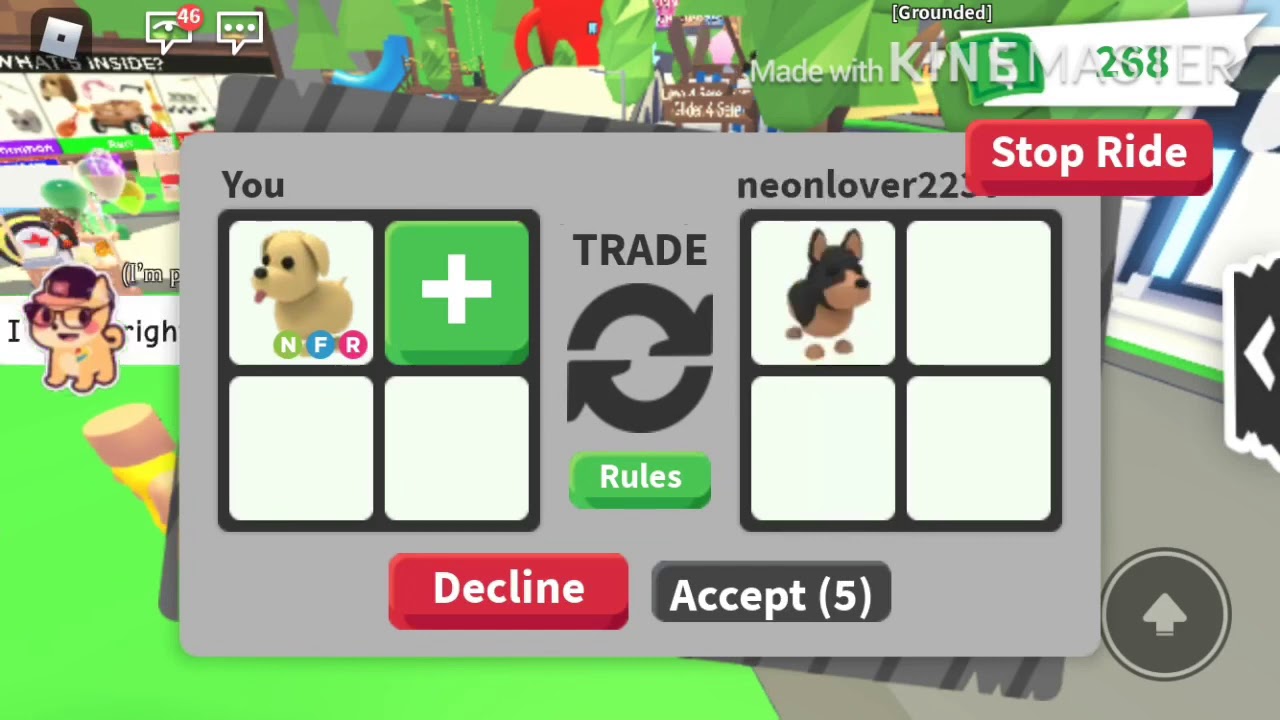 What people trade me for a neon fly ride dog - YouTube