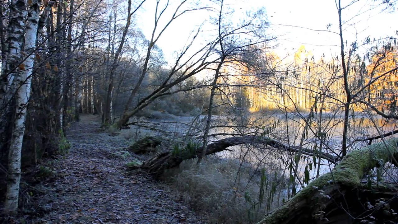 Unikalus Šauklių riedulynas. Ruduo (Unique Šaukliai moraine. Autumn ...