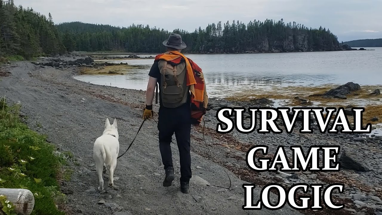 Survival Video Game Logic | SURVIVAL GAMES | Survival game vs real life ...