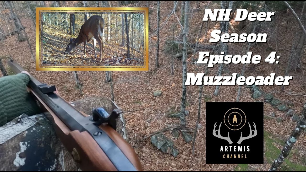 NH Deer Season Episode 4: Muzzleloader - YouTube