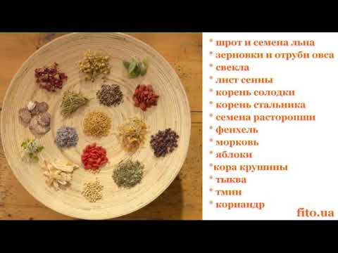 Клетчатка от запора. Как правильно выбрать? - YouTube