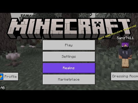 GA TAMAT MINECRAFT GA ENDLIVE PART 1 - YouTube