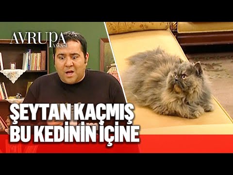 Simge mi Volkan'a kafayı taktı Volkan mı Simge'ye belli değil - Avrupa Yakası