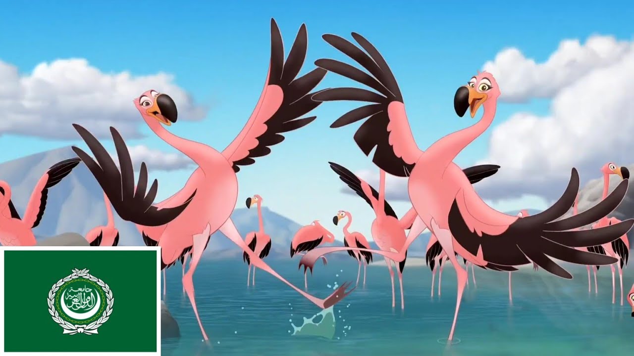 The Lion Guard - Flamingo Dance Party (Standard Arabic) 🇪🇬 - YouTube