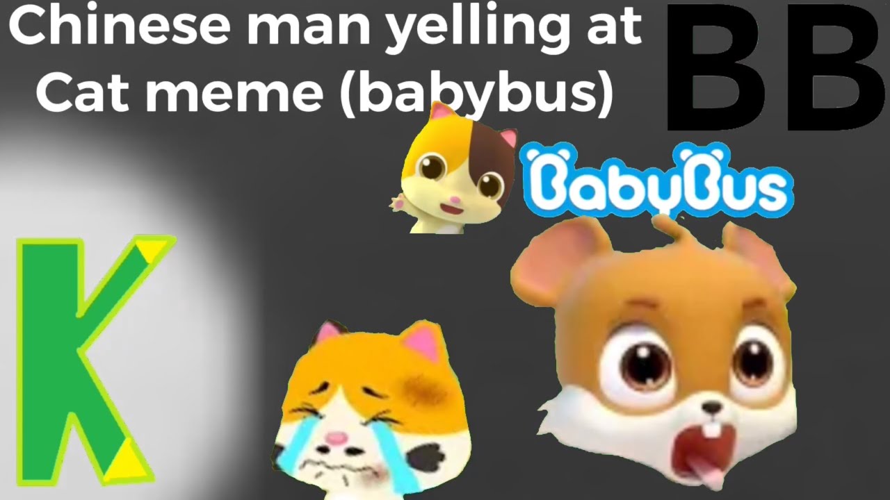 Angry chinese man and cat with babybus - YouTube