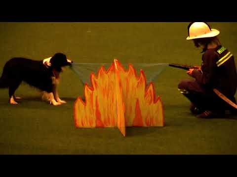 2010 March - Crufts Alena Smolikova