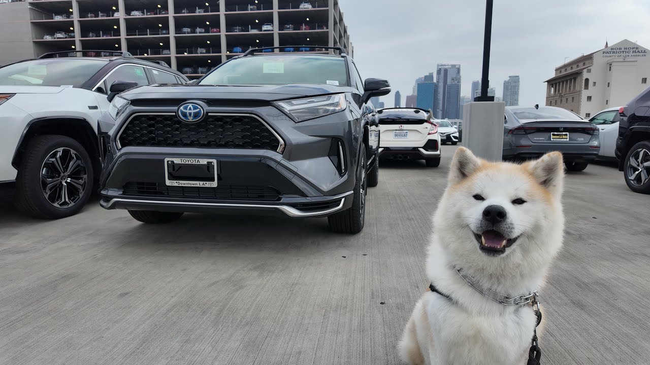 SJ got a Toyota Camry Hybrid, Lunch at Shabuya, & Boba Time - YouTube