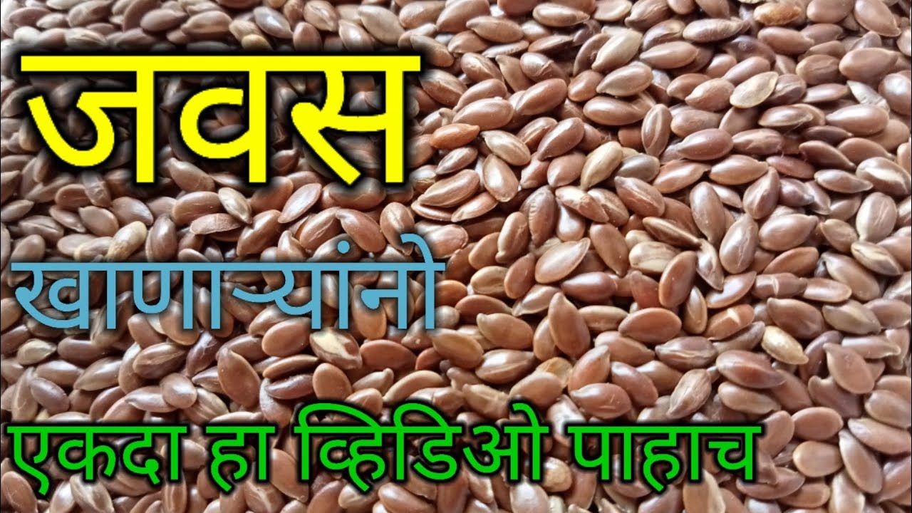 जवस खाण्याचे 10 जबरदस्त फायदे | Health benefits of linseeds | benefits ...