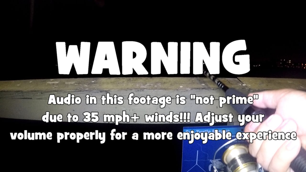 Florida Fishing Under FRESH GALE Conditions (Lauderdale-by-the-Sea, FL ...