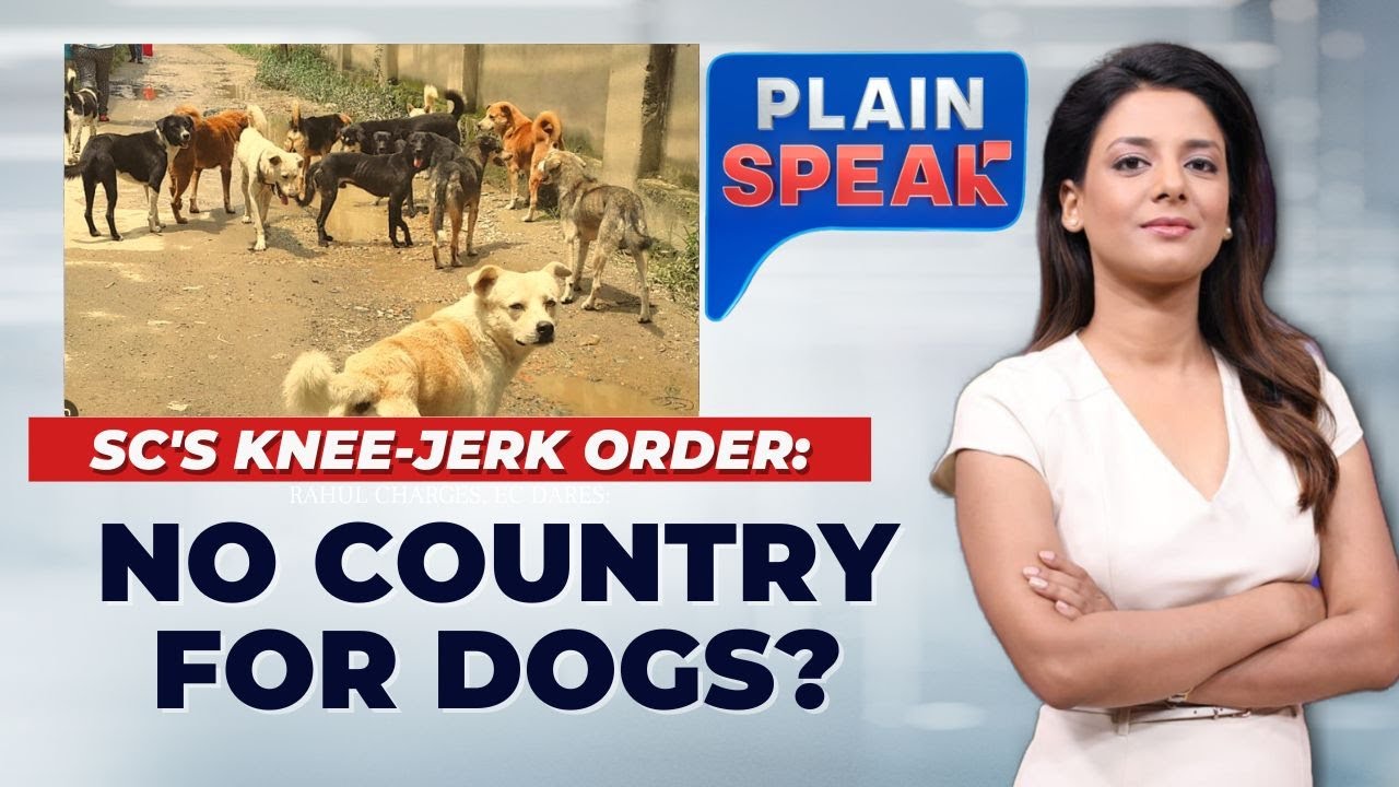 LIVE | Supreme Court On Stray Dogs | Bihar SIR Rahul Gandhi Row | ECI ...