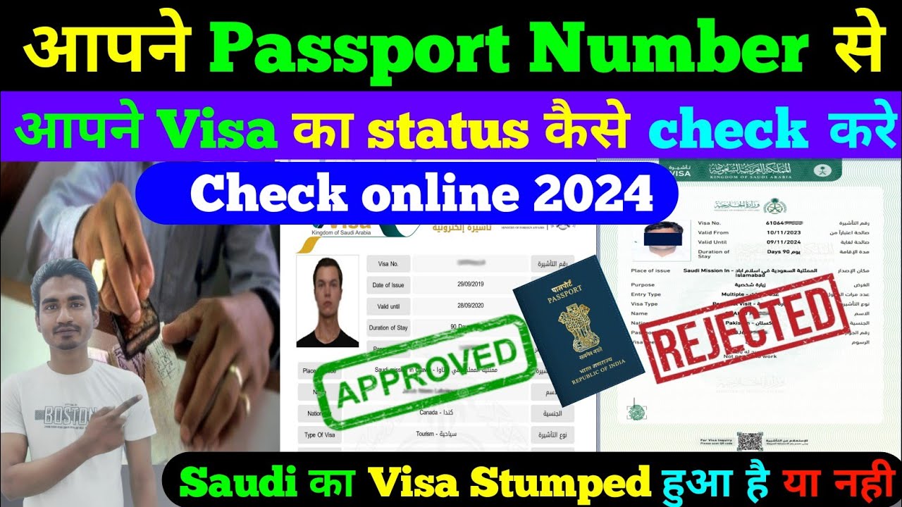 How to Check Visa stamping status by passport number | How to check ...