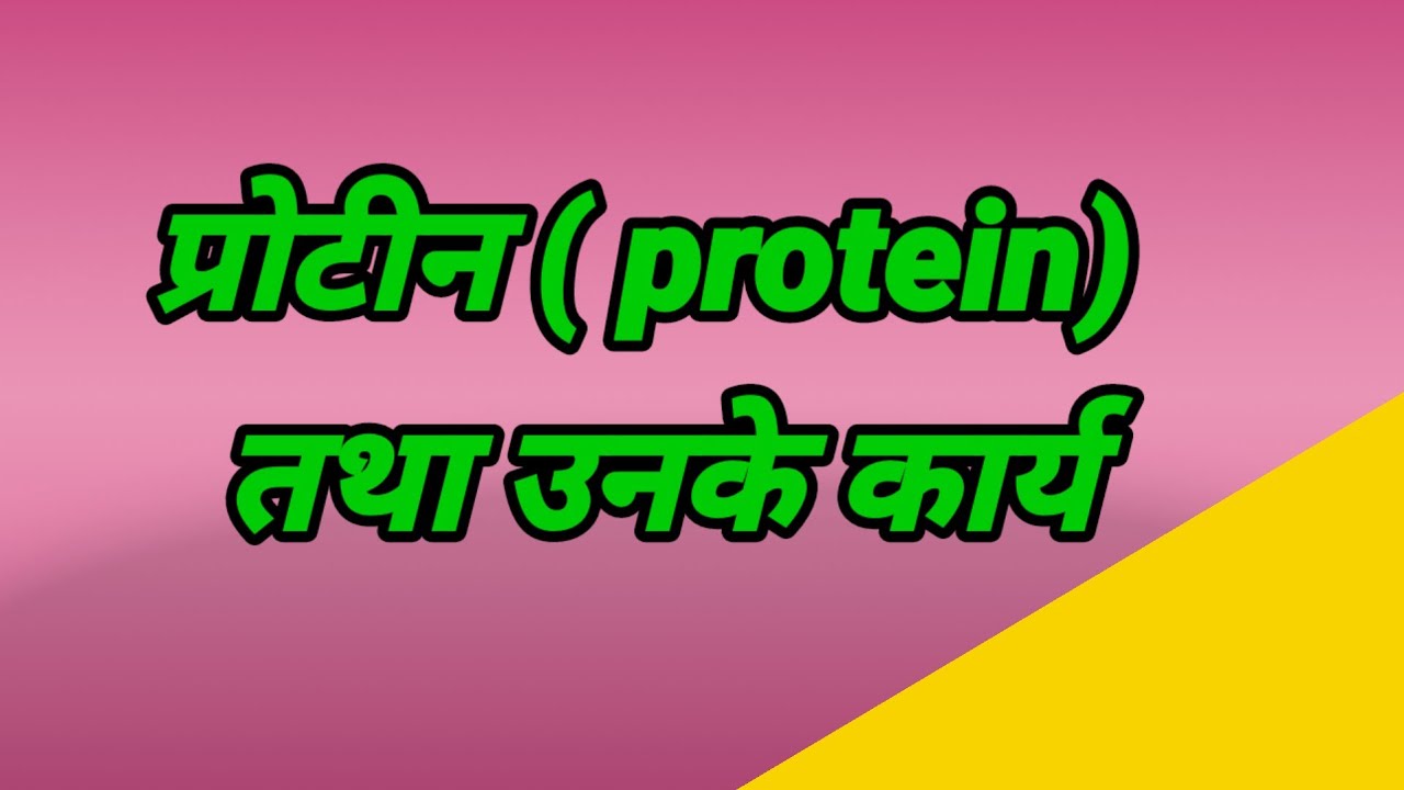 प्रोटीन किसे कहते हैं प्रोटीन के कार्य। protein ka paribhasha. protein ...
