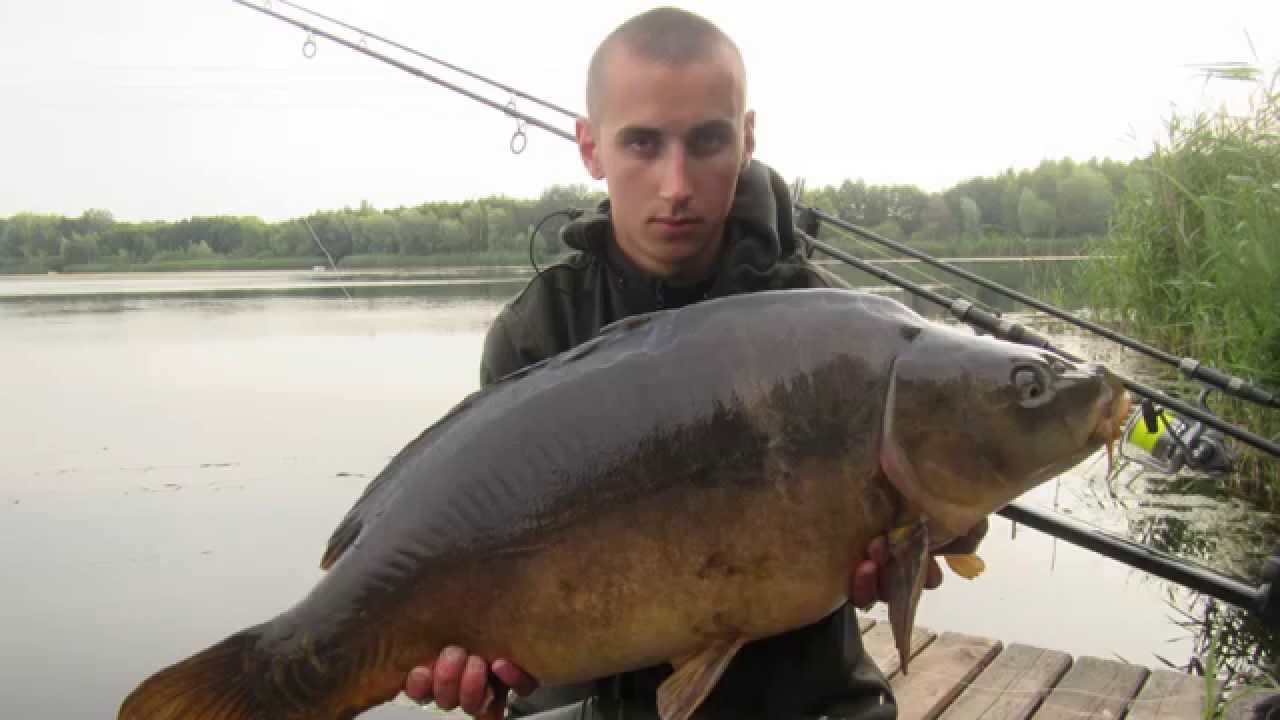 CARP FISHING - POLAND 2014 - YouTube