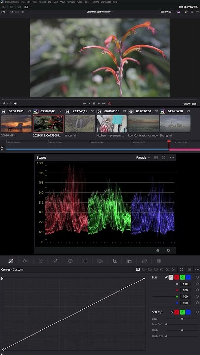 DaVinci Resolve Color Management workflow | DaVinci resolve color ...