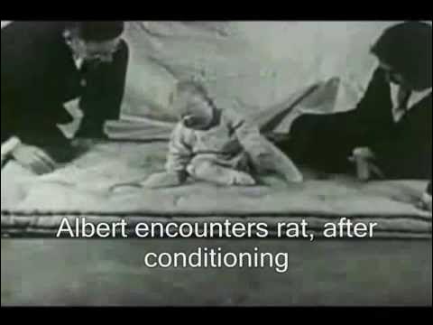 Little Albert Experiment (Watson) - YouTube