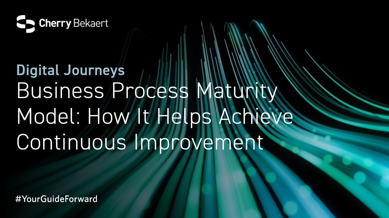 Business Process Maturity Model: How It Helps Achieve Continuous ...
