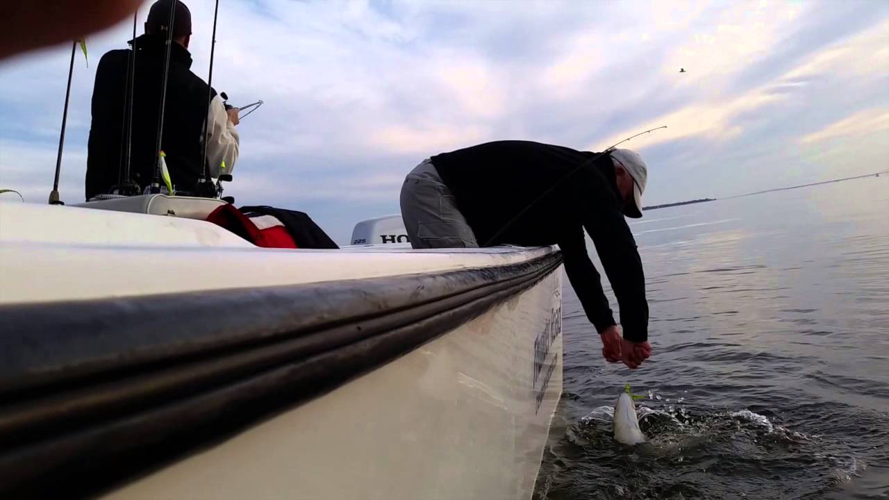 Leave Fish to Find Fish - YouTube