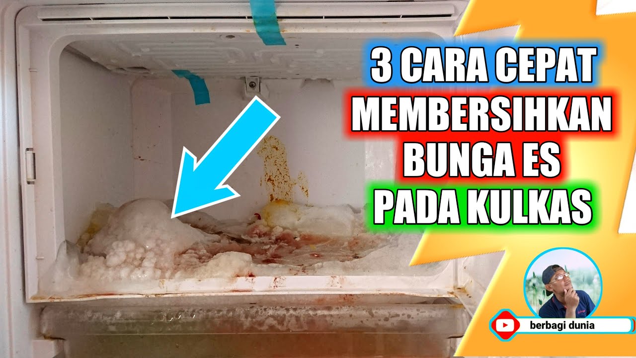 CARA MENGHILANGKAN BUNGA ES KULKAS - YouTube