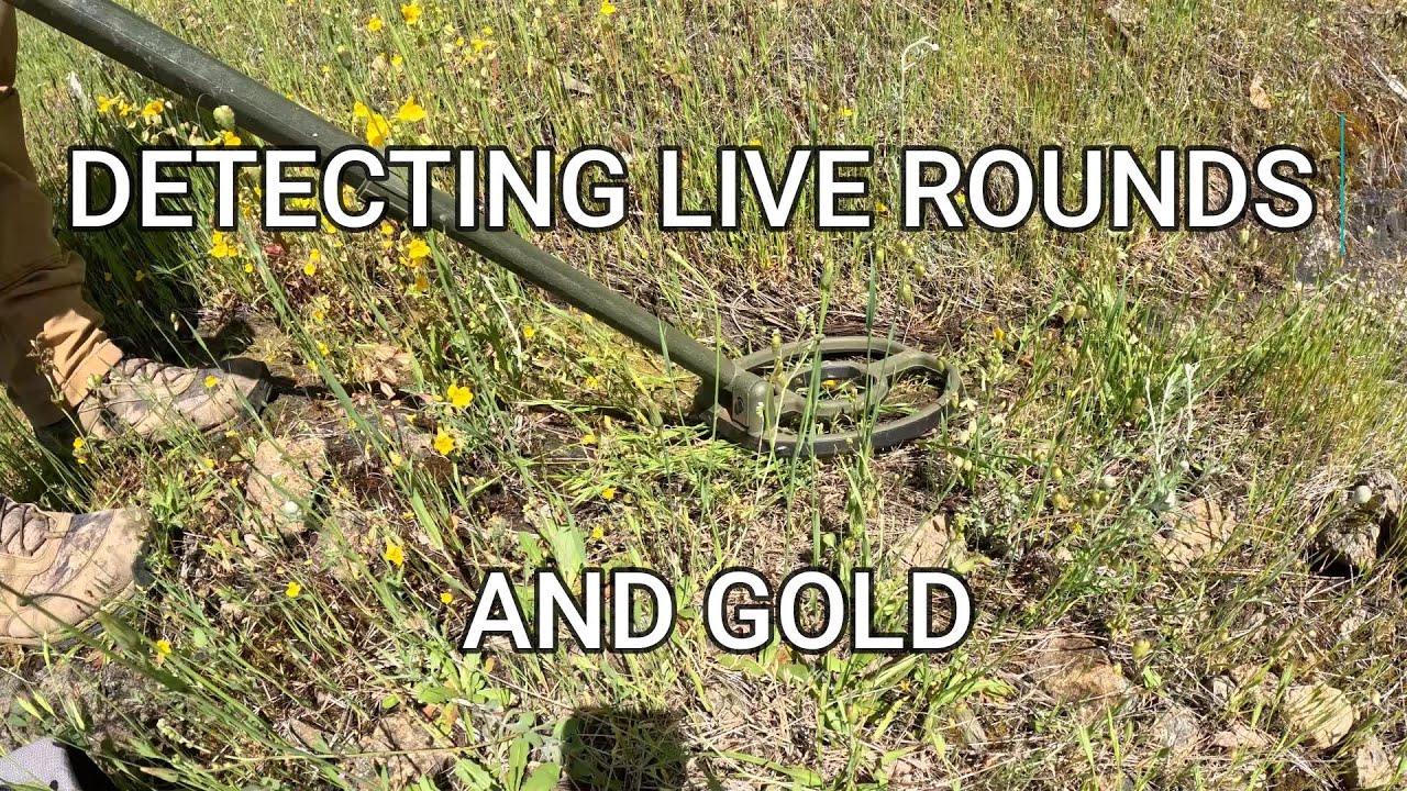 DETECTING LIVE ROUNDS AND GOLD IN NORTHERN CALIFORNIA - YouTube