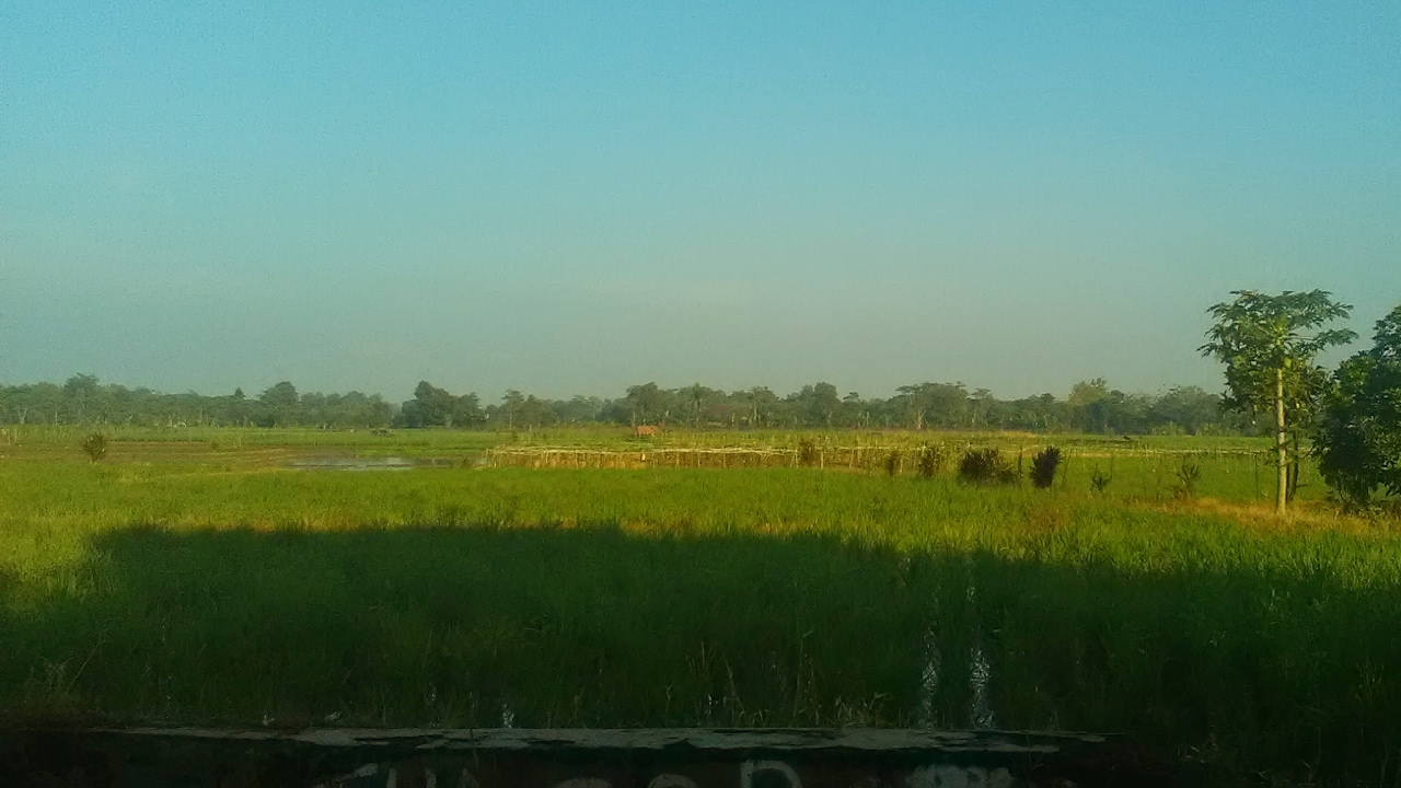 Live Streaming suwarno warno - YouTube