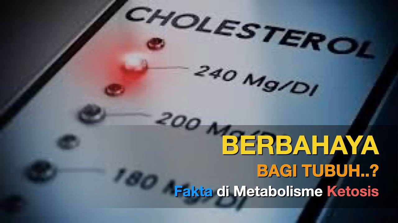 Kolesterol Berbahaya Bagi Tubuh..? Fakta di Metabolisme Ketosis - YouTube