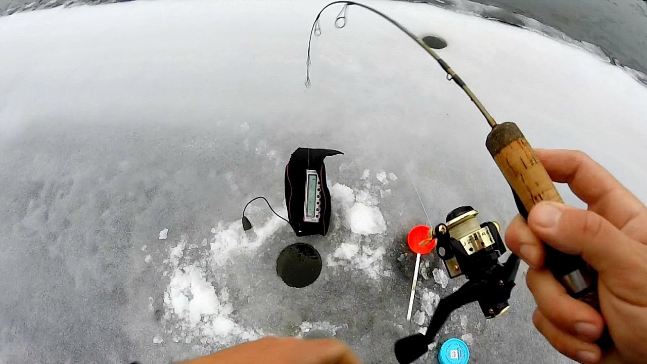 Made a HUGE Mistake Fighting a BIG Fish...TWICE!!! (FREAK OUT) - YouTube