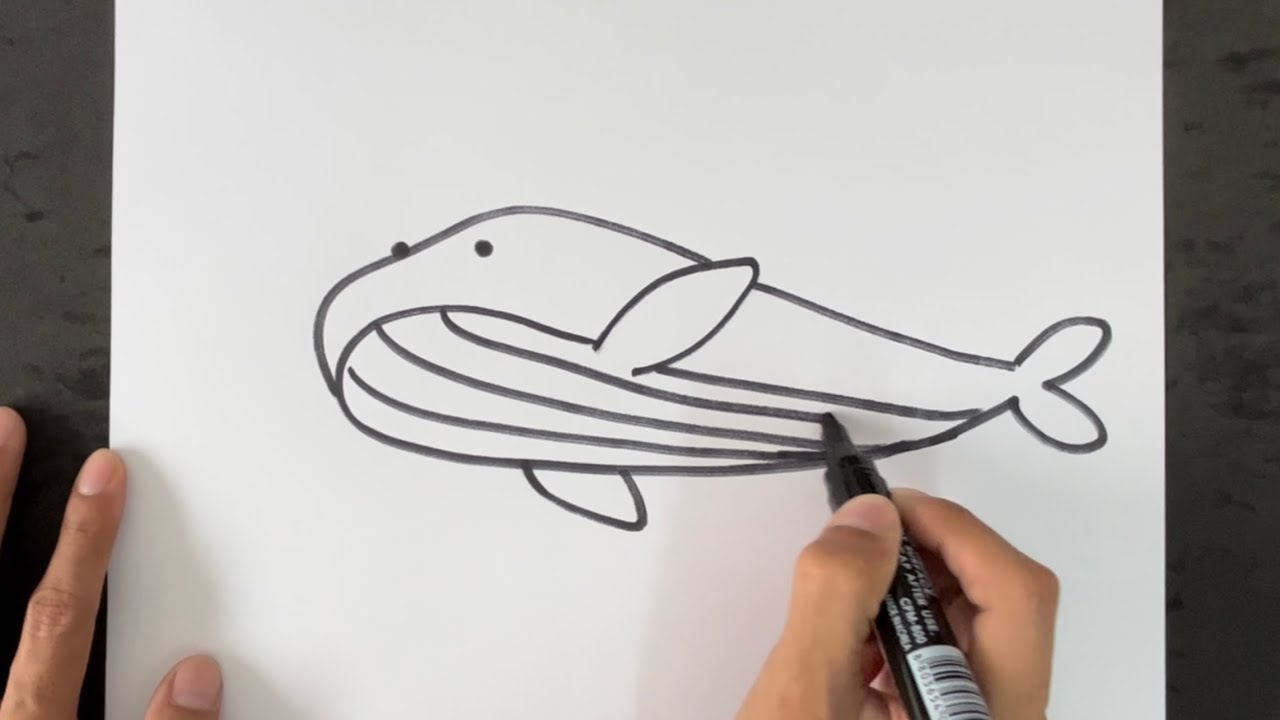 How to draw a Whale | Sea Animal | Easy funny drawings of cartoons ...