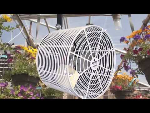 Schaefer 365S12 2 Galvanized Belt Drive Slantwall Exhaust Fan 36 Inch ...
