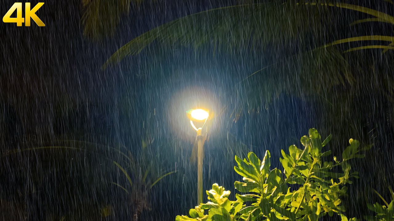 Night Rain on the Lights - Gentle Rain Sounds Lull You to Deep Sleep ...