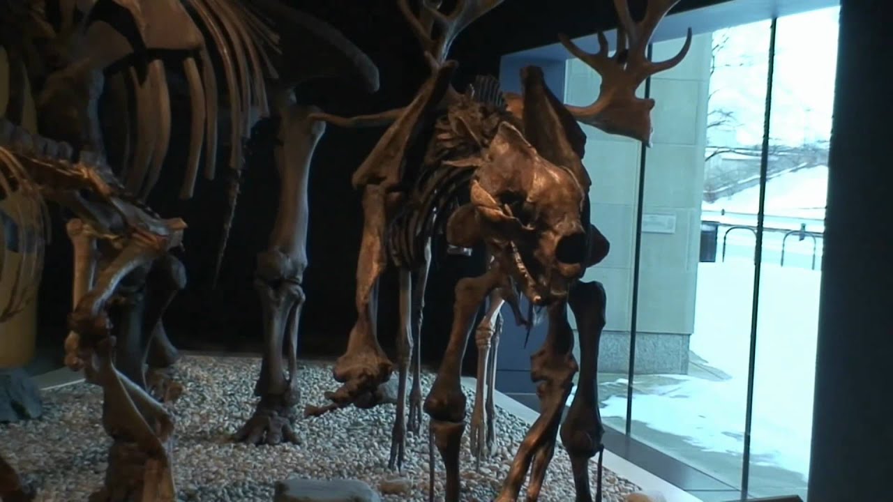 20101226 HD Indiana State Museum - YouTube