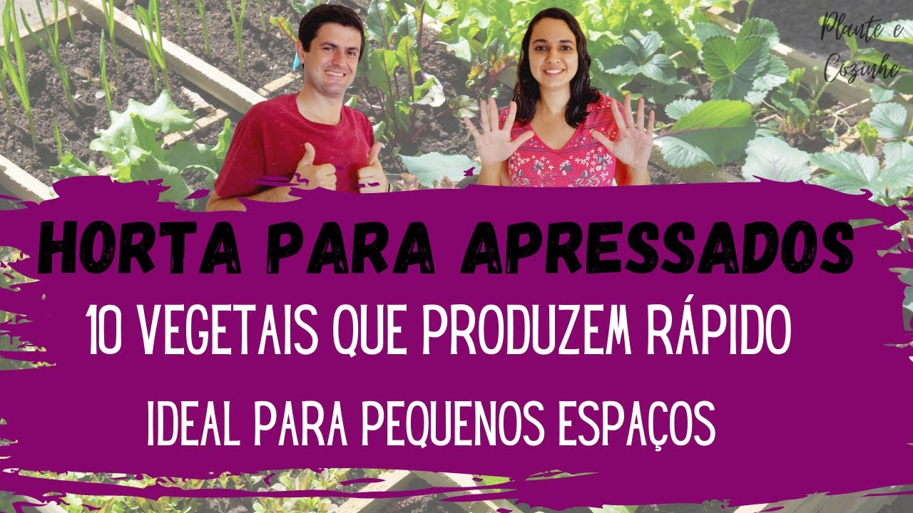 COMO TER UMA HORTA FÁCIL NA QUARENTENA: 10 VEGETAIS QUE CRESCEM RÁPIDO ...