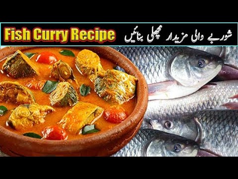 Fish Curry | Fish Curry Recipes | Delicious Fish Shorba | How to Make ...