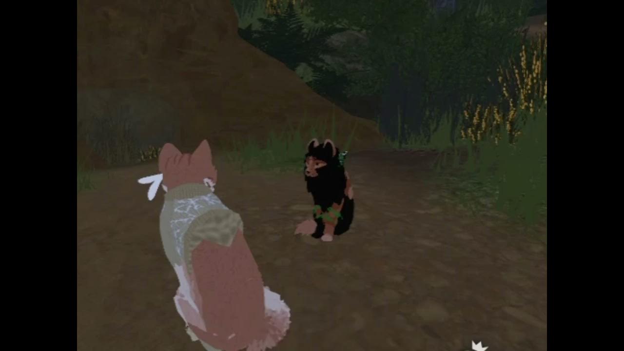 WCUE Role Tutorial. - YouTube