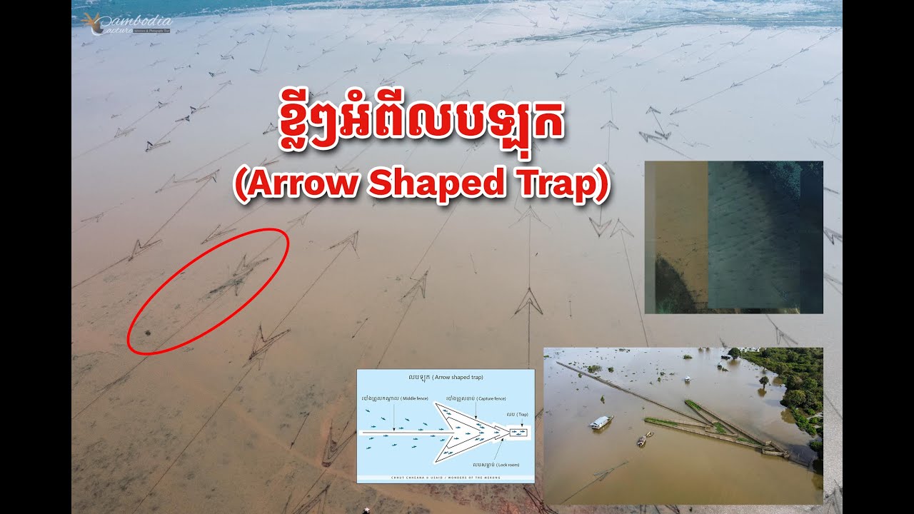លបឡុក Arrow Shaped Trap - YouTube