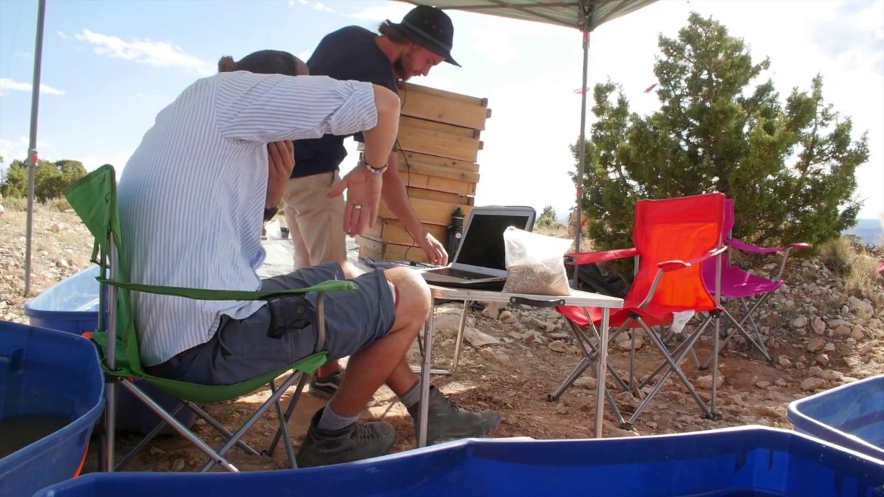 Live @Natural Trap Cave - YouTube