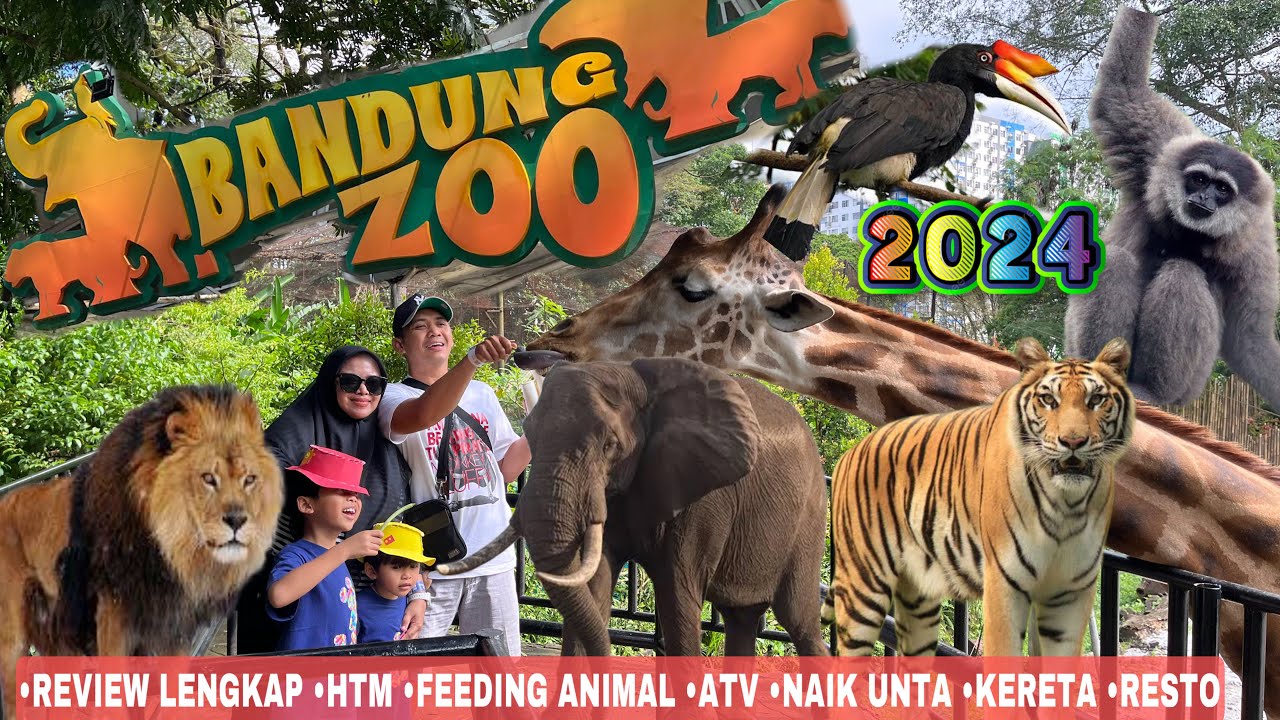 EXPLORE BANDUNG ZOO TERBARU 2024 | Wisata Bandung | Kebun Binatang ...