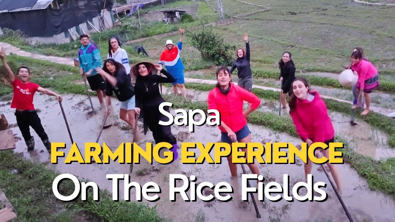Farming On The Rice Fields Experience in Sapa, Vietnam - YouTube