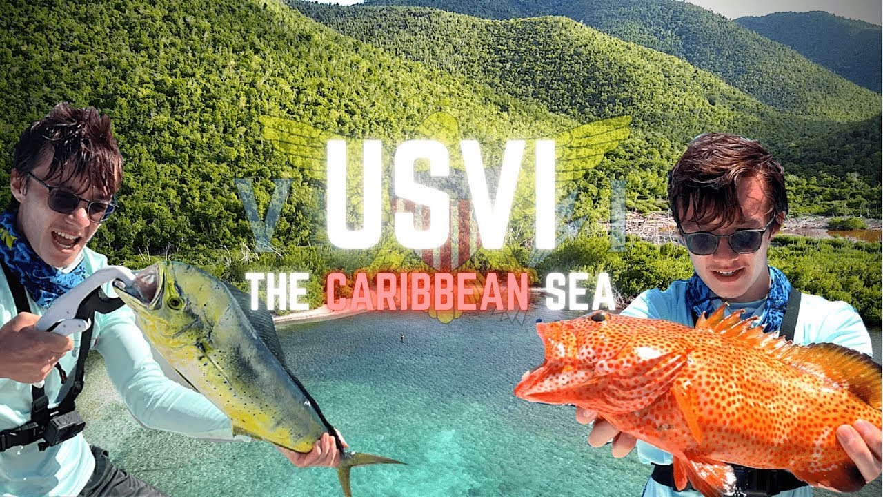 USVI: The Caribbean Sea - An Original Fishing Film - YouTube