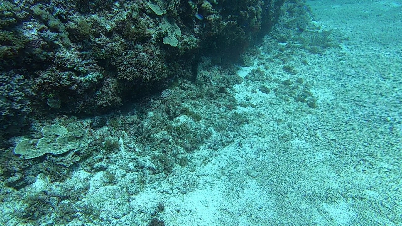 Douglas Shoal Sediment Sampling Panorama Video (2019) C4-5 GH010218 ...