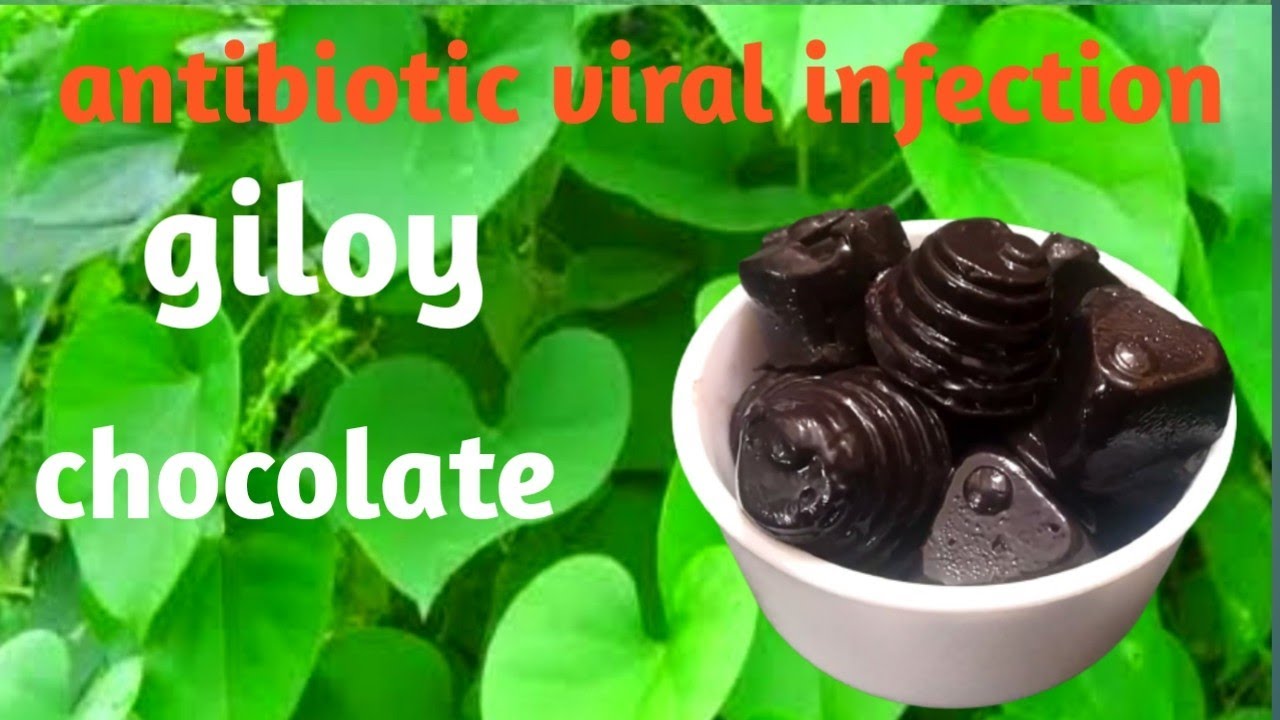 giloy recipe,how to prepare thippatheega chocolate recipe in telugu ...