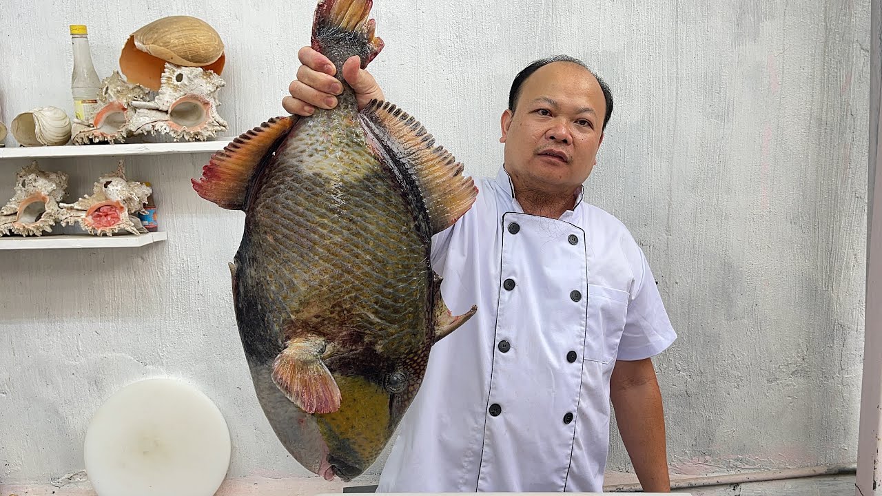 5kg titan fish 200usd and the best sashimi recipe // best cooking - YouTube