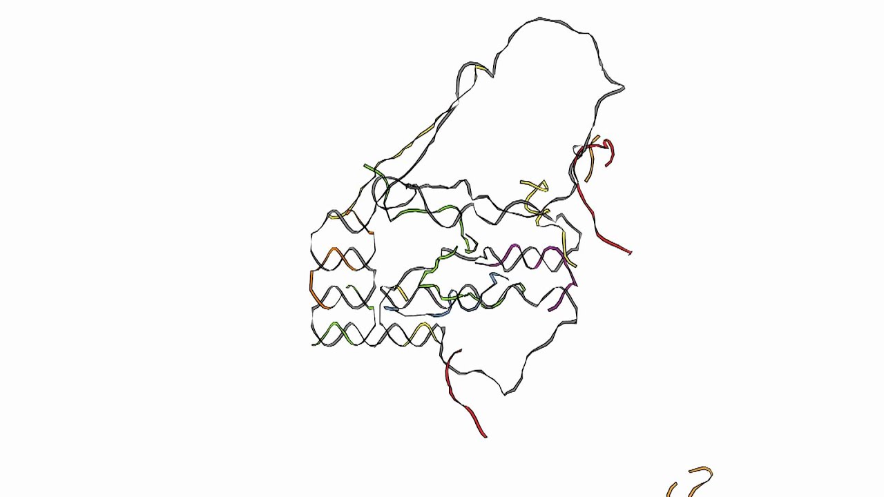 DNA origami folding animation - YouTube